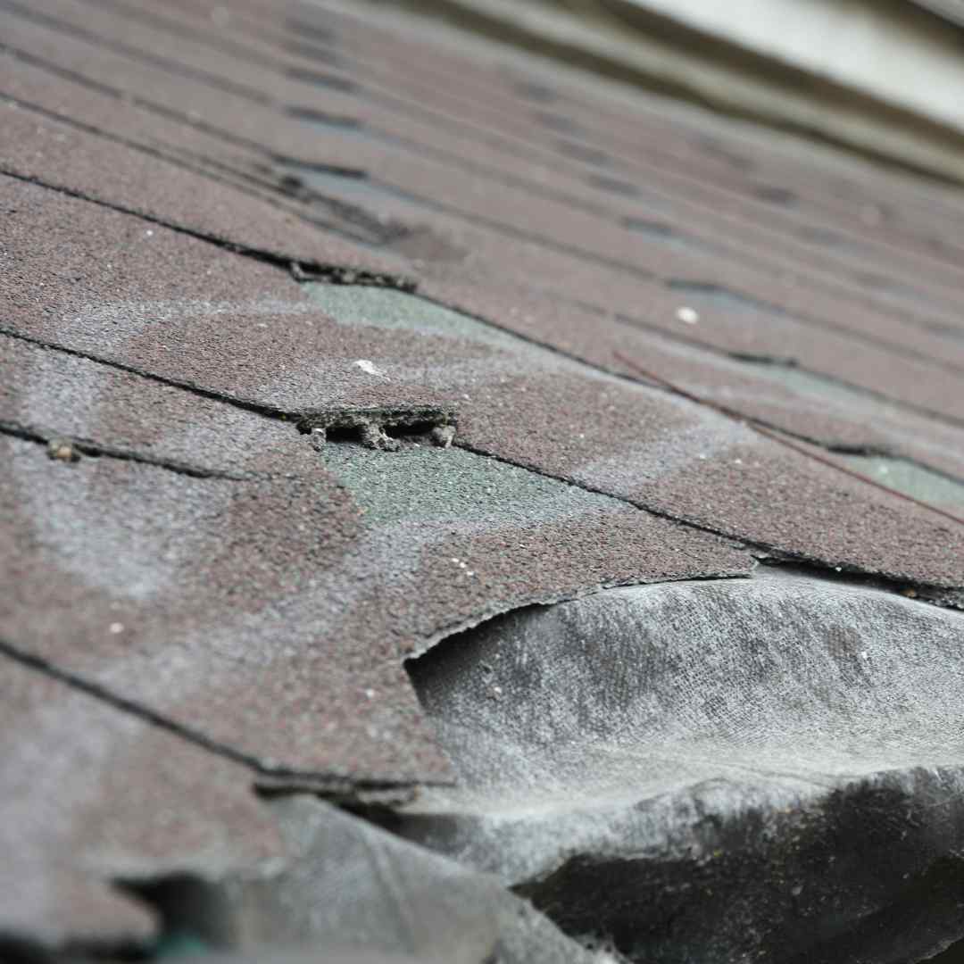 Understanding Shingle Damage: Types, Causes, and Solutions - APEX